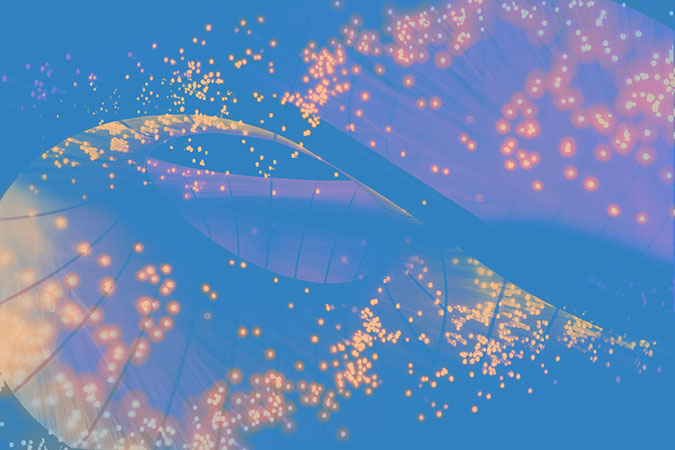 Home [divadcorp.com]